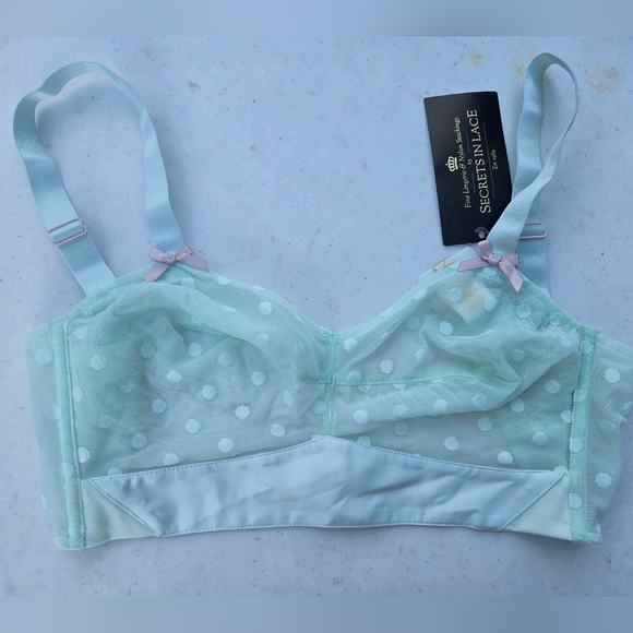 Secrets In Lace | Intimates & Sleepwear | Secrets In Lace Mint Lucy Bra ...